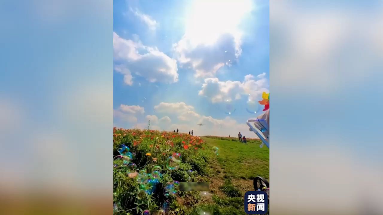 100秒看被人类幼崽萌化的瞬间:小小身躯大大能量 世界因你们更精彩