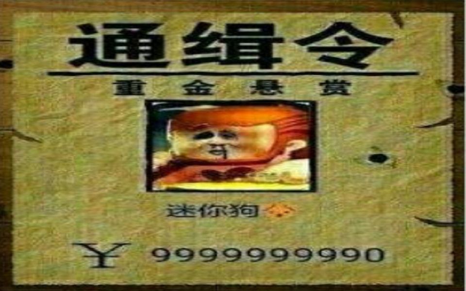 迷你世界复活了?迷你世界枪战精英?