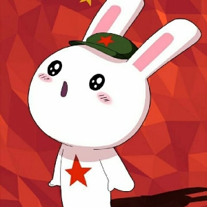 爱学习的种花家小兔子 