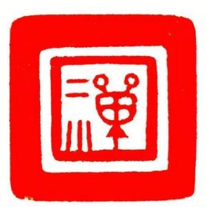 金禅子的视界 