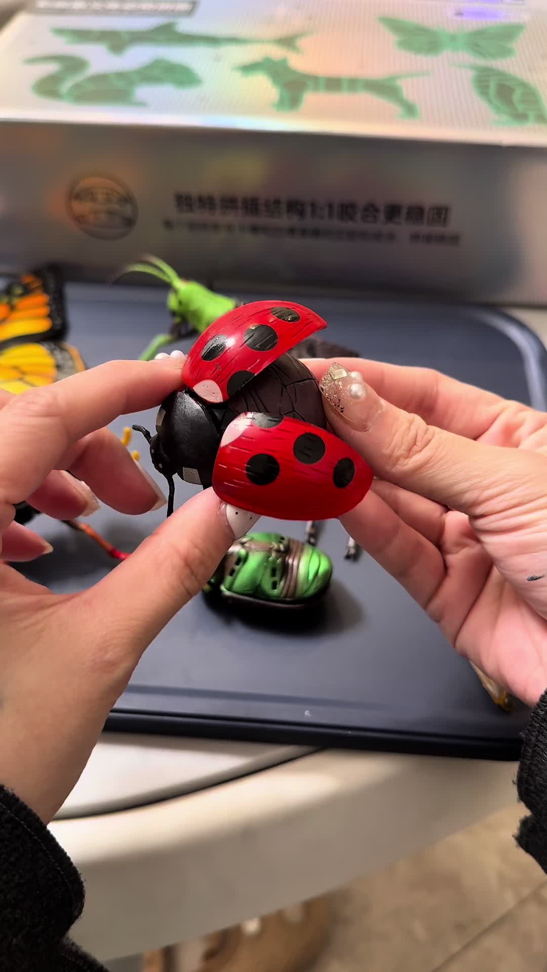 ...栩栩如生的拼装昆虫模型。 #动物模型 #拼装玩具 #昆虫科普 #儿童玩具