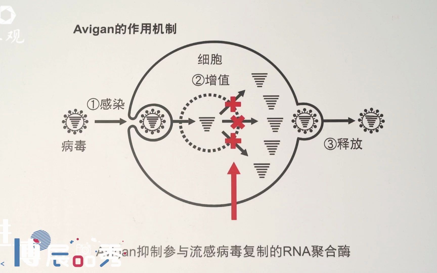 进博展品秀 富士展出抗流感药物Avigan片,正进行新冠患者临床试验