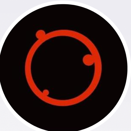 浑水报告pro 