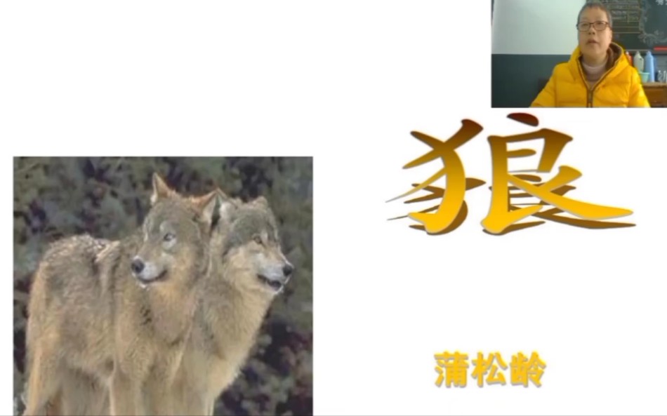 初一文言文《狼》:重点知识全学会,理解轻松不用背