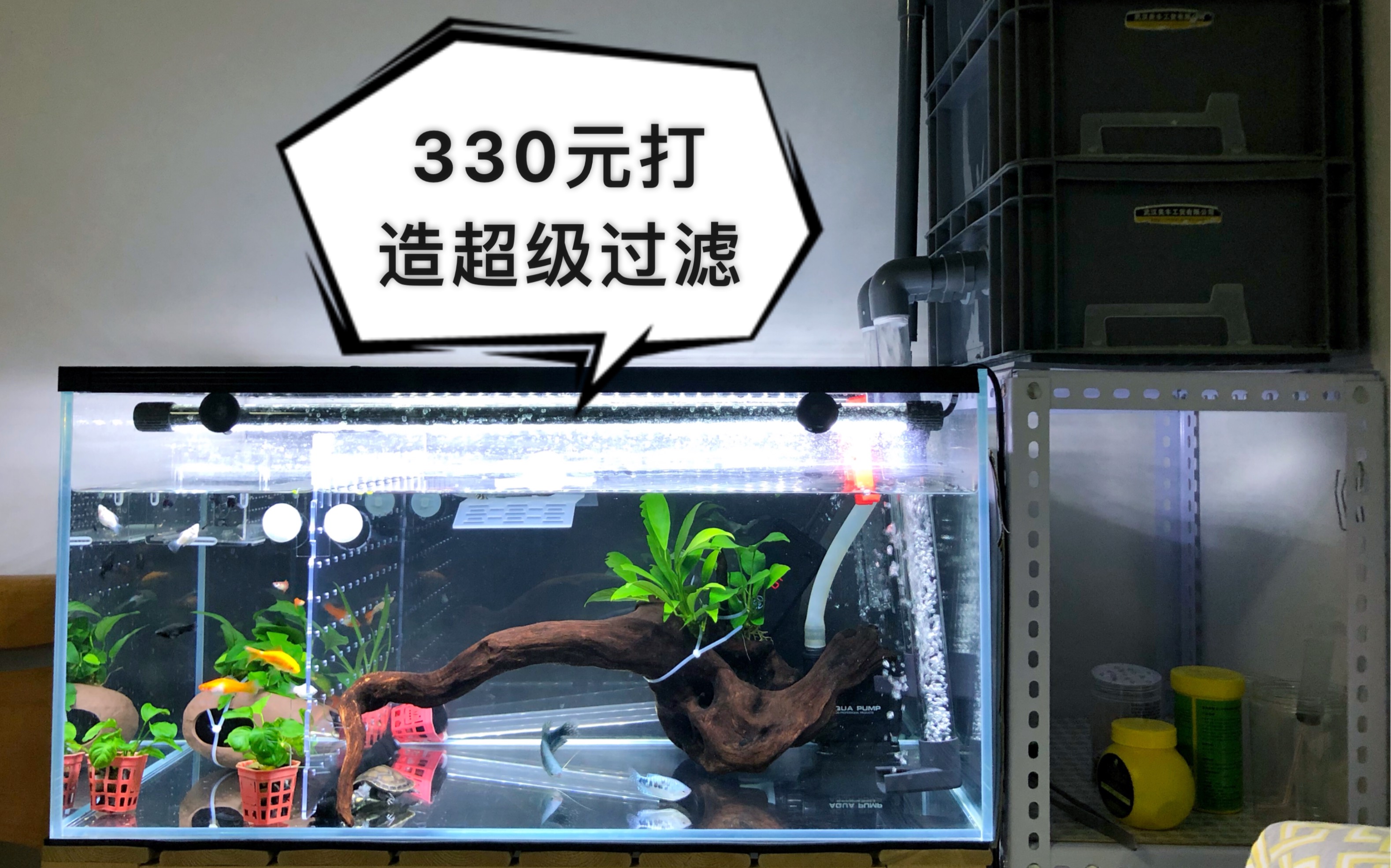 新手养鱼~三百多打造一个强大的鱼缸过滤系统
