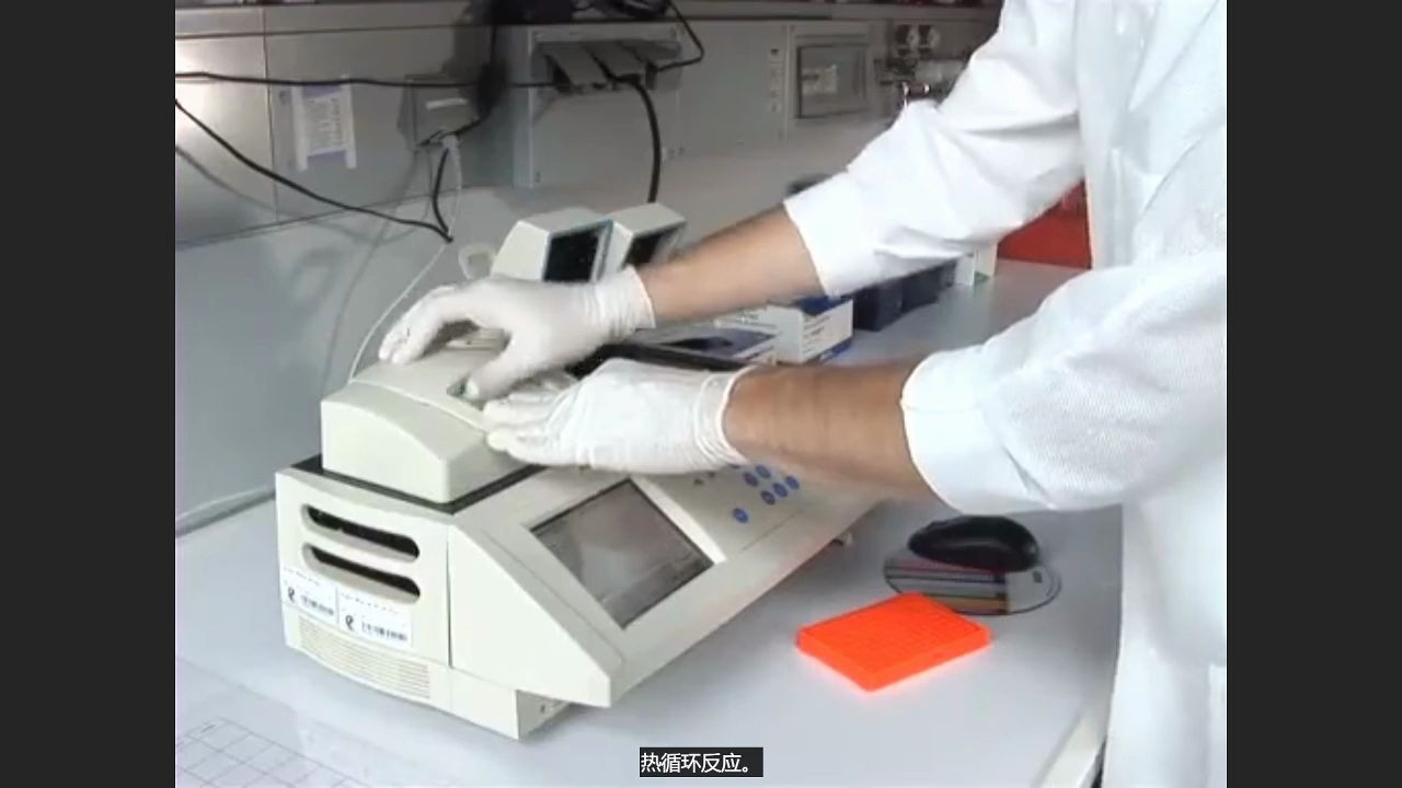 【教学视频】PCR