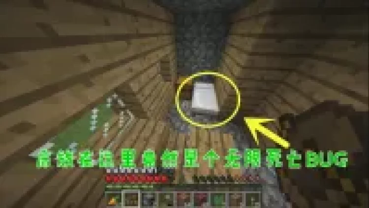 我的世界2B2T服务器:好友自制bug无限死亡向我求救,20万格狂奔救援