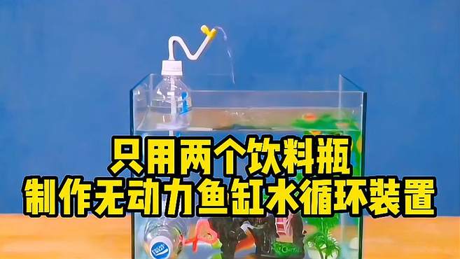 只用两个饮料瓶就可以制作无动力鱼缸水循环装置,成本只需几毛钱