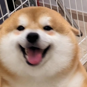 一朵蛋花儿_ 