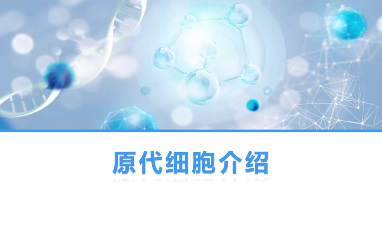 原代细胞特性,优势和查询介绍
