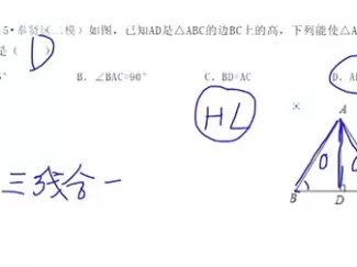 全等三角形模型介绍
