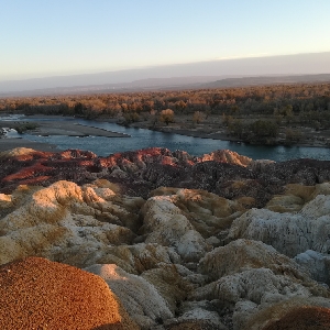骑亚麻骑个隆冬强 