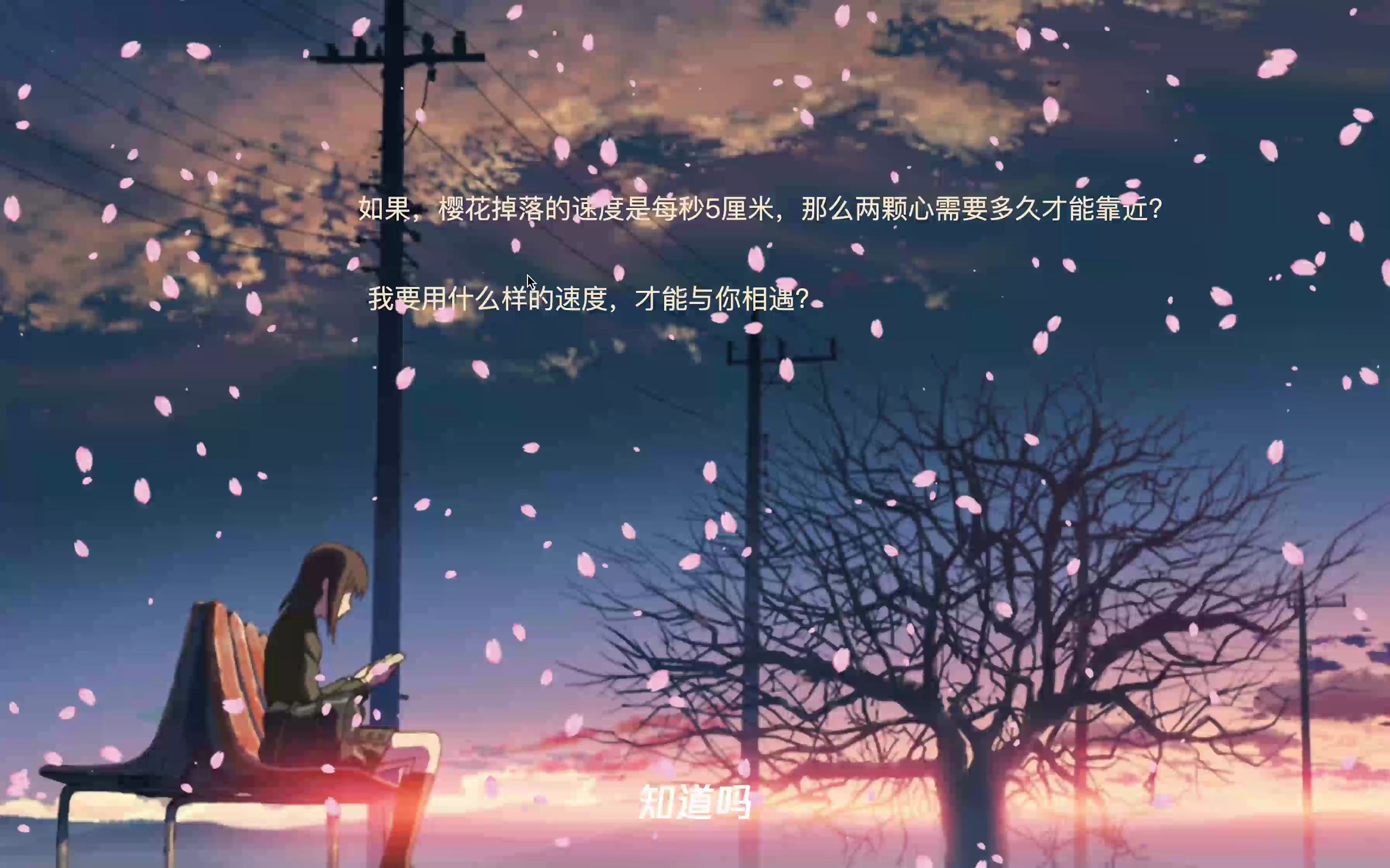 今天520,我用代码做了樱花飘落、天空下雨和流星划过的效果.