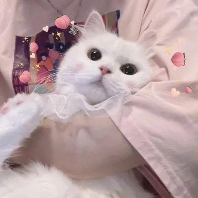 小煜AI 