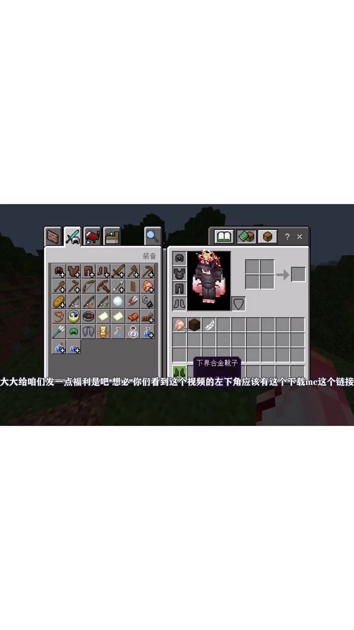 我的世界,这两款皮肤也太好看了吧!