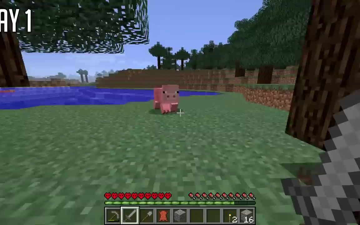 我的世界~ 尝试存活100天_哔哩哔哩bilibili_我的世界_游戏实况