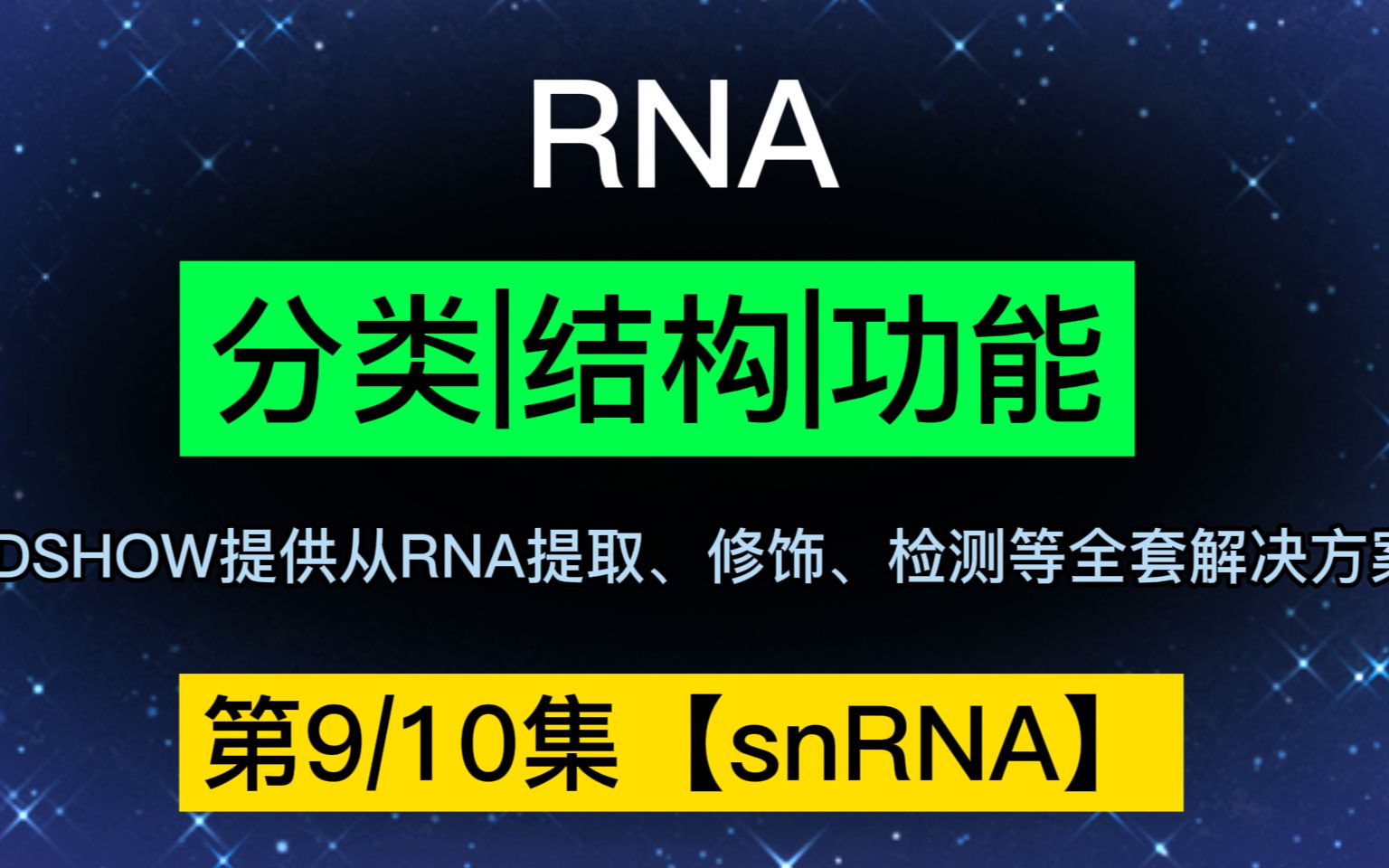 snRNA结构和功能