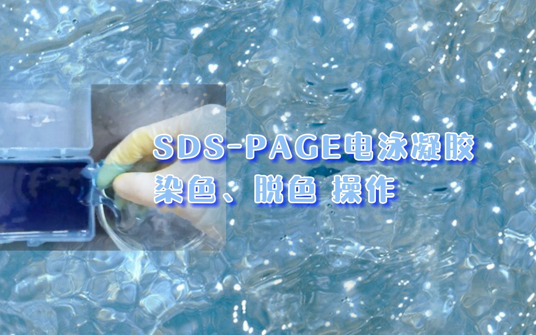 SDS-PAGE电泳凝胶染色、脱色操作流程完整版