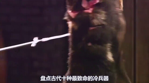 世界上最强的冷兵器,你了解多少种