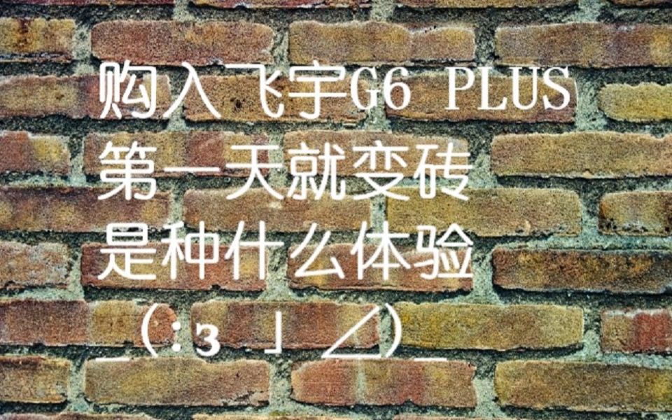 购入飞宇G6 plus稳定器第一天就变砖是种什么体验