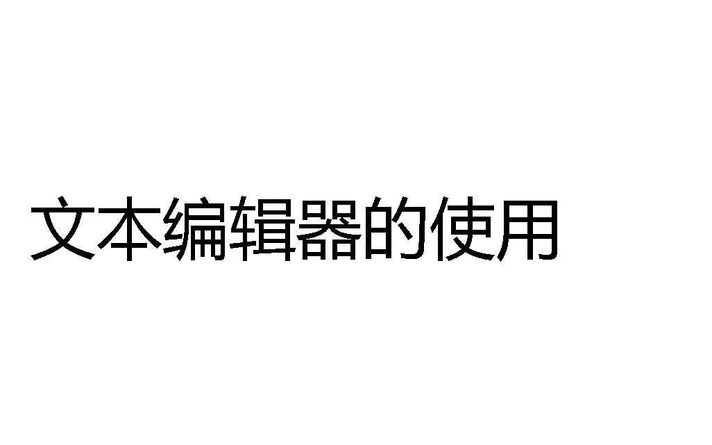 用文本编辑器