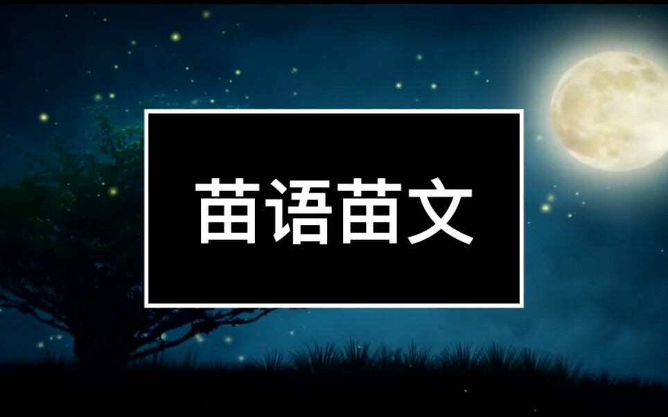 【苗语课程】苗语东部方言(湘西方言)教学