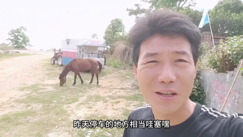 开着自己手搓的拖拉机房车自驾游,满地的鸡血藤切片引起小伙注意