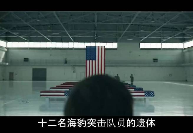 行动惨遭团灭,幕后黑手究竟是谁