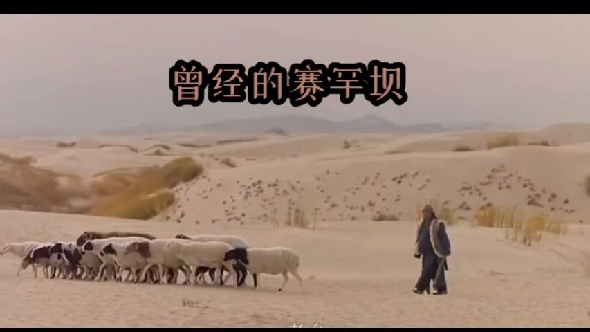 #河北请全抖音看塞罕坝 #河北生活记录 60年前就是荒
