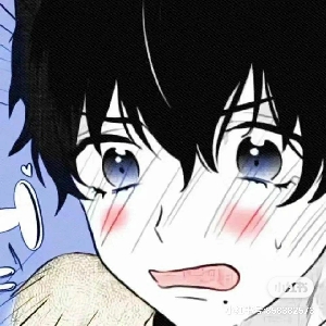 房德里Yes 