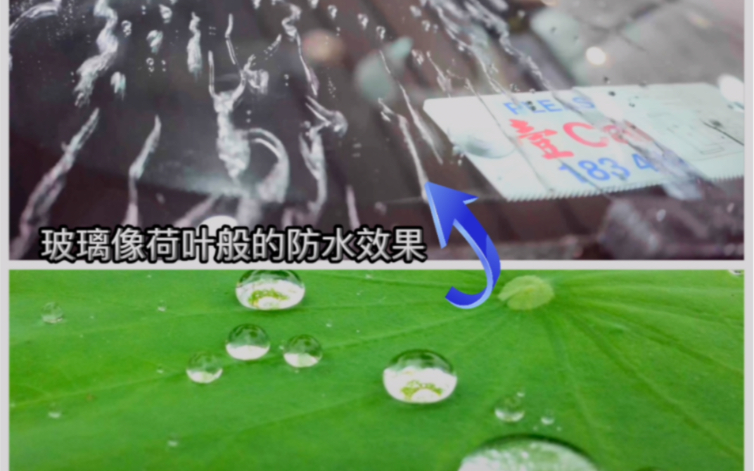 [4K]玻璃镀膜雨天必备,多雨天气到了,你还不找相熟的技师?