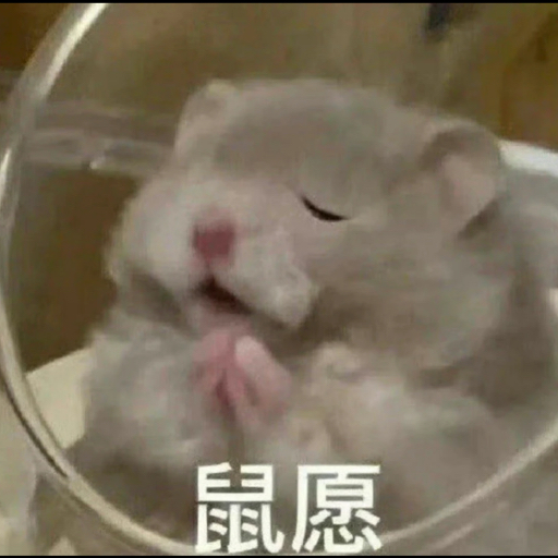 白桃乌龙养乐多 