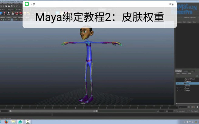 Maya角色绑定,Maya绑定教程,Maya蒙皮刷权重