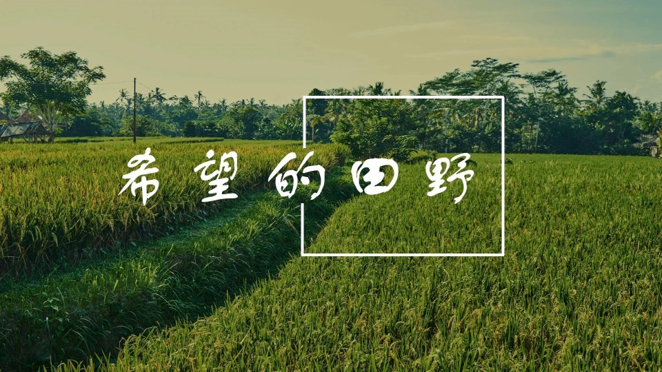 《如何用PPT制作丝滑矩形开场动画效果?》只需要简单的操作就能...