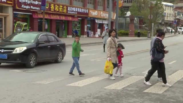 文明交通劝导志愿服务活动正在香格里拉市区开展