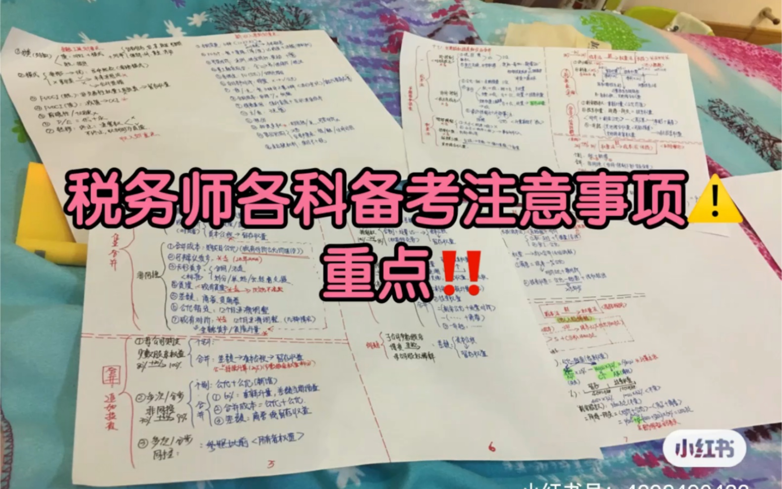 税务师各科备考注意事项⚠️重点‼️
