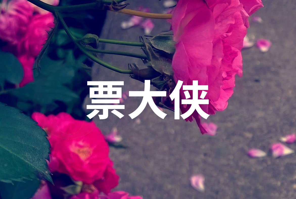 发票电子台账excel怎么快速导出?