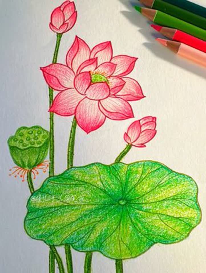 用椭圆教你简单快速画荷花 #儿童画#荷花 #简易花草画法 #彩铅手绘 #...