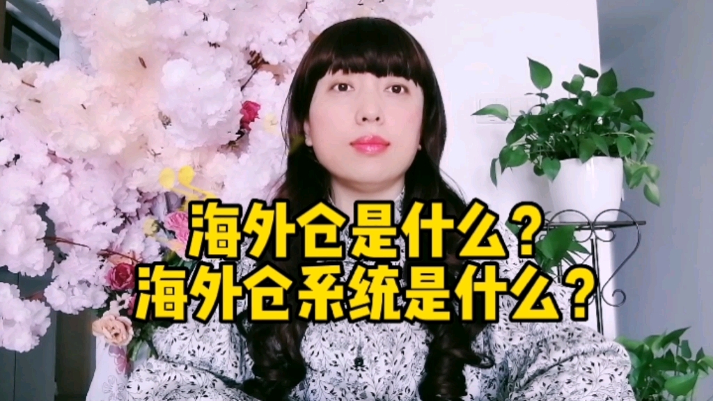 海外仓是什么?海外仓系统是什么?金蚁海外仓系统