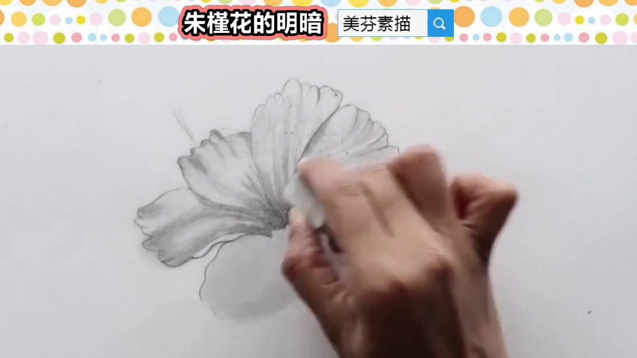 素描基础教程:教你画一朵漂亮的扶桑朱槿花素描画!素描花朵画法技巧!