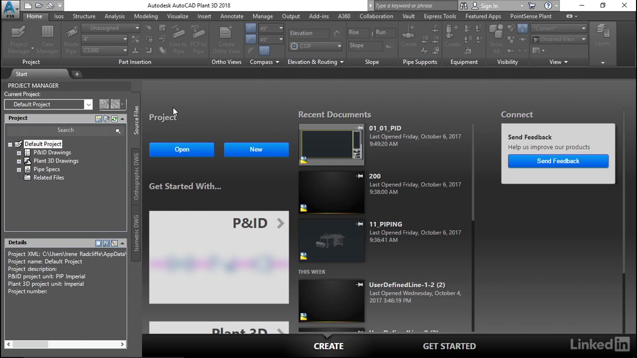 004 Project Manager overview