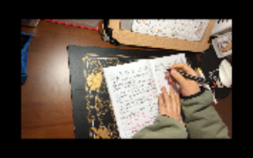 实时学习半小时丨背景白噪音丨写听课笔记