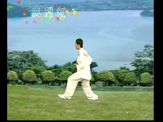 凤凰剑背向演练07