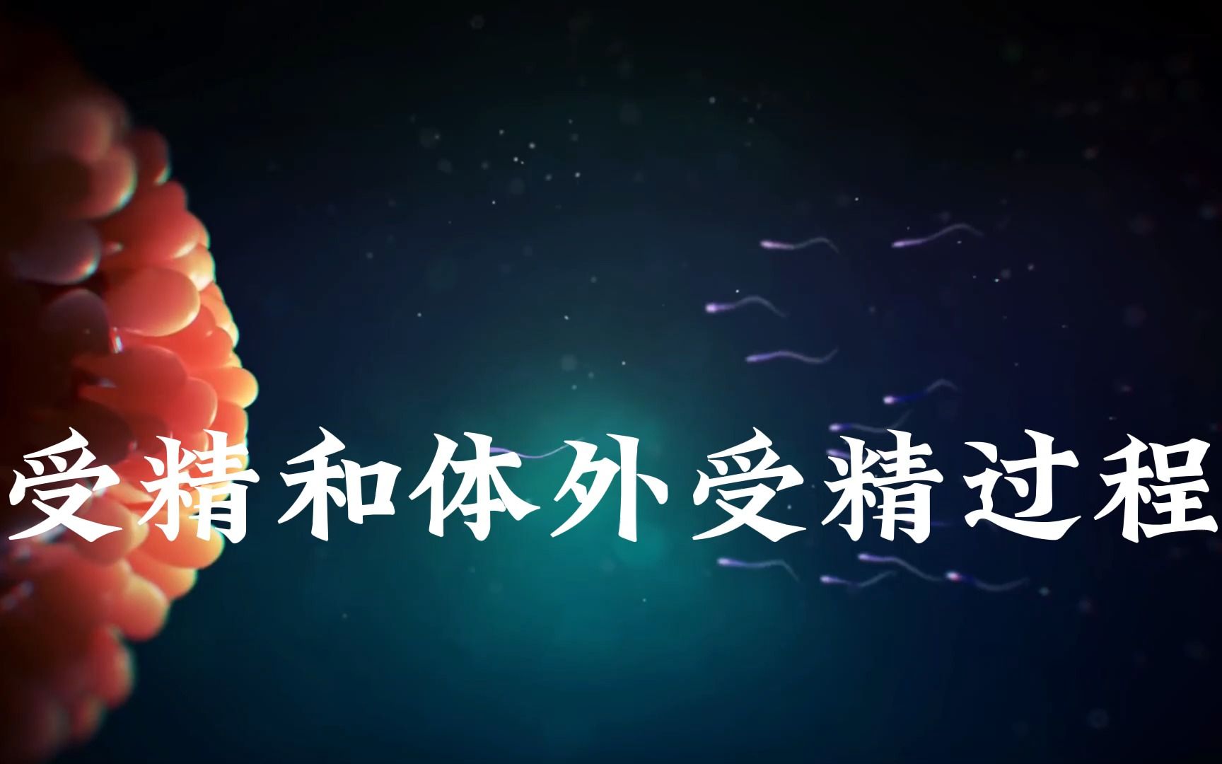 正常受精与体外受精