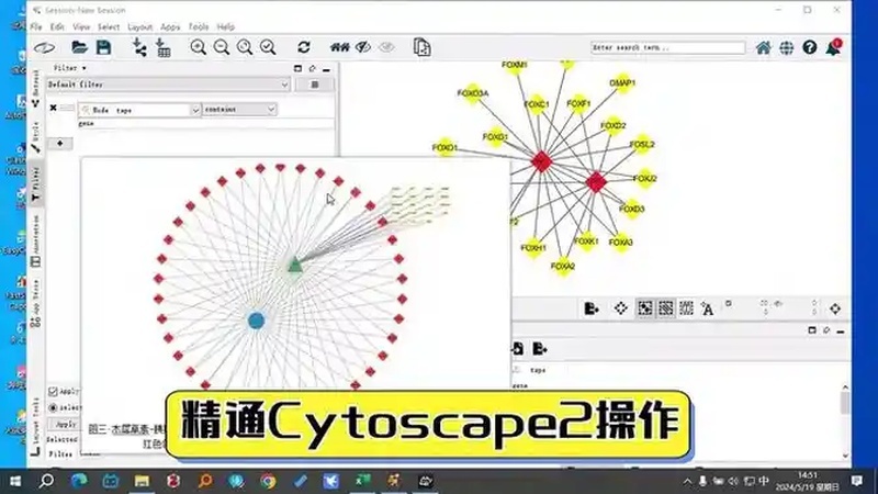 精通Cytoscape2操作