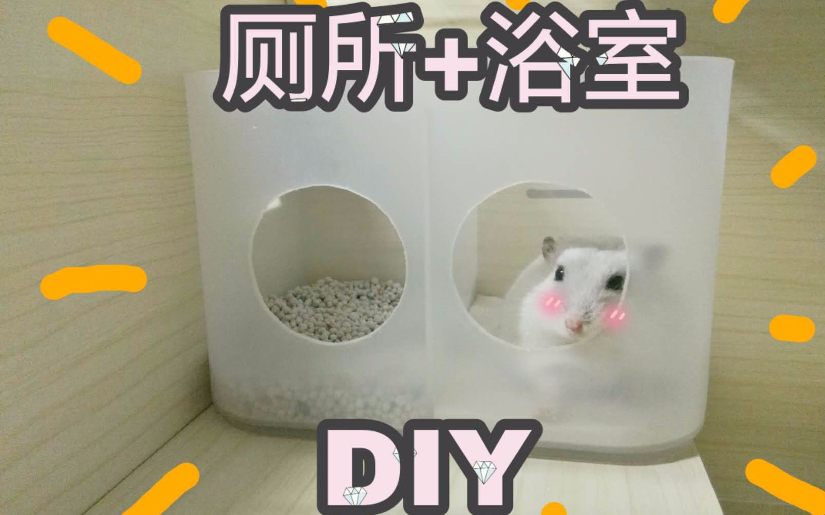 【仓鼠DIY】自制仓鼠厕所浴室二合一,简直就是平民窟铲屎官的福音啊