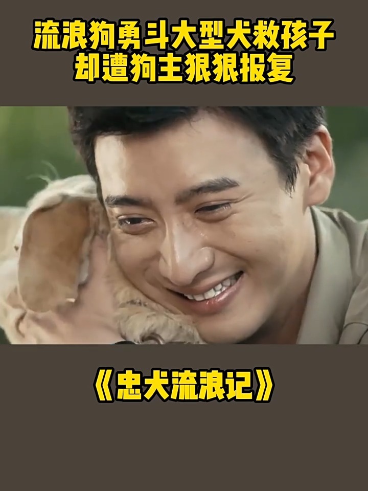 真实故事改编!搜救犬为了寻找退役消防员主人,跨省苦寻2年多