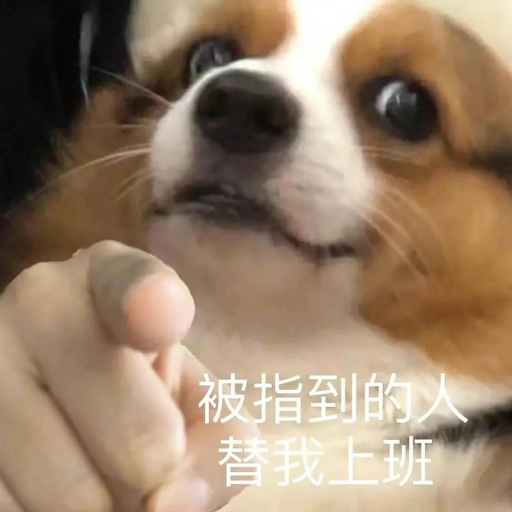 奇了朵五彩斑斓葩 