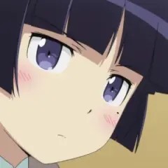 野良夏猫 