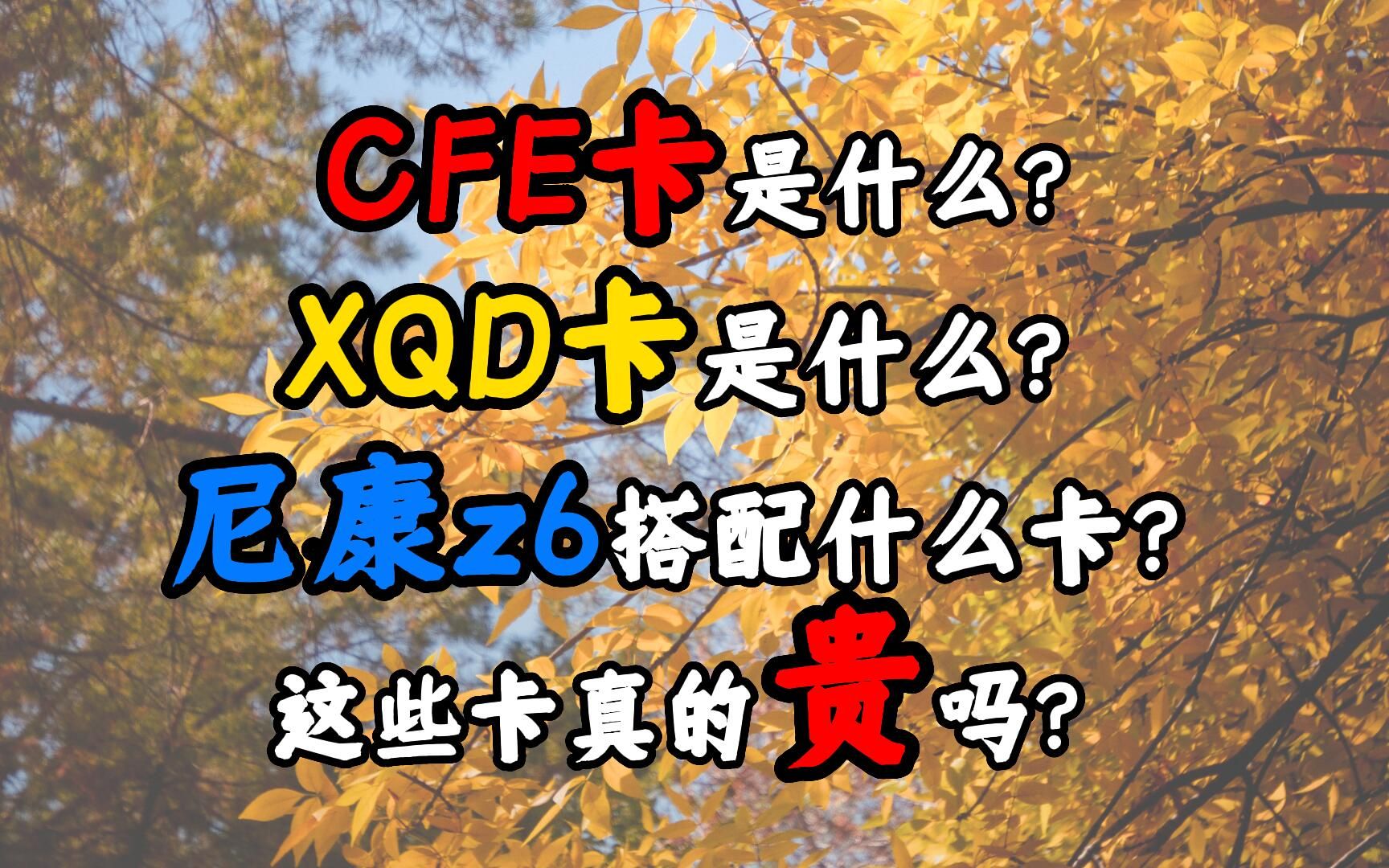 尼康Z6该怎么选择内存卡?XQD卡为什么这么贵?CFE卡到底是什么?这...